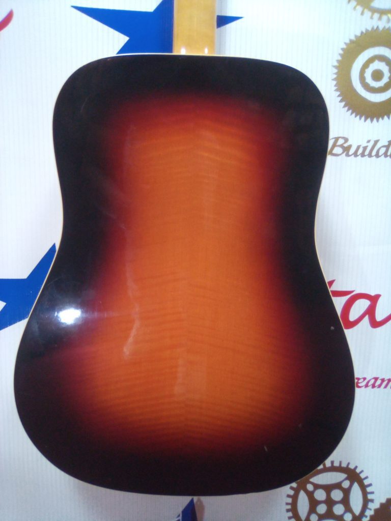 Hofner Acoustic - Guitar Wishes